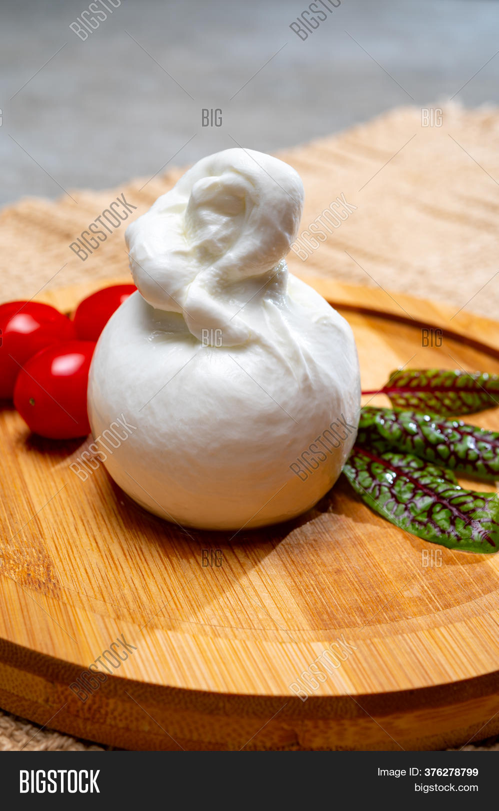 Cheese Collection, Image & Photo (Free Trial) | Bigstock