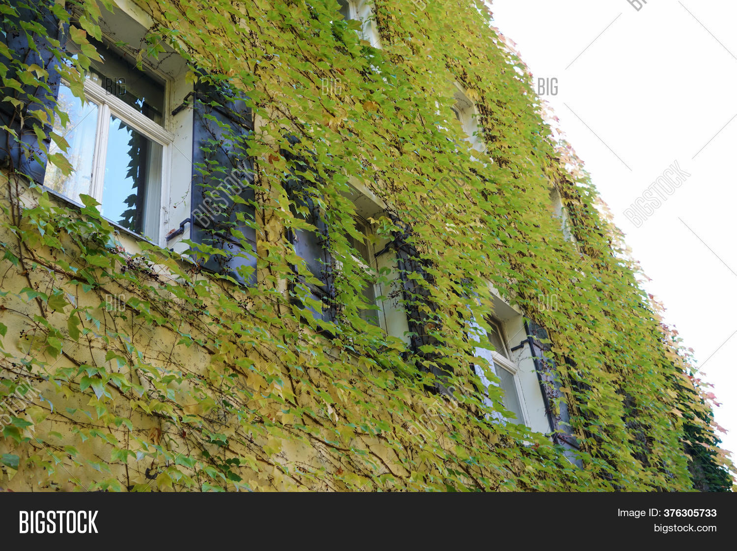 House Facade Overgrown Image & Photo (Free Trial) | Bigstock