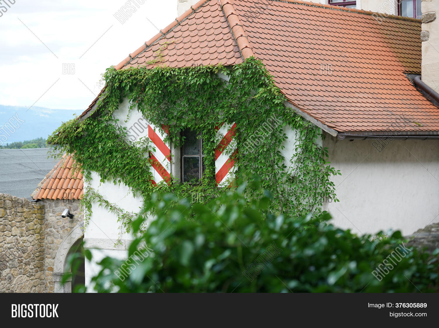 House Facade Overgrown Image & Photo (Free Trial) | Bigstock