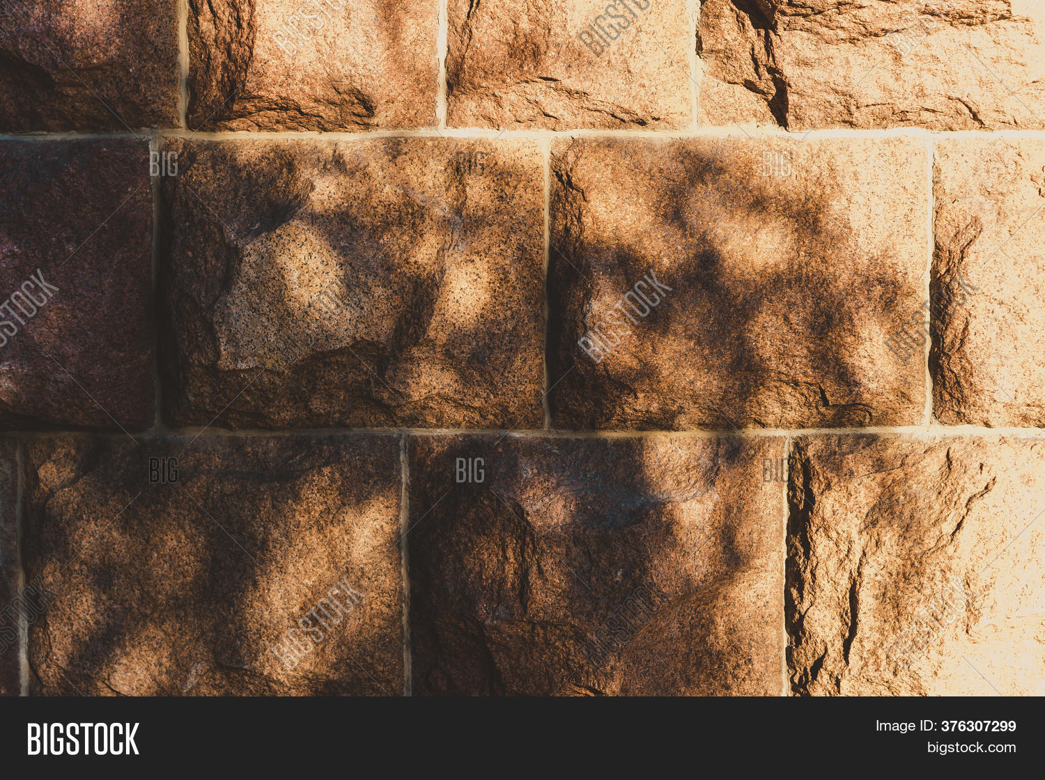 Shadow Tree On Wall. Image & Photo (Free Trial) | Bigstock