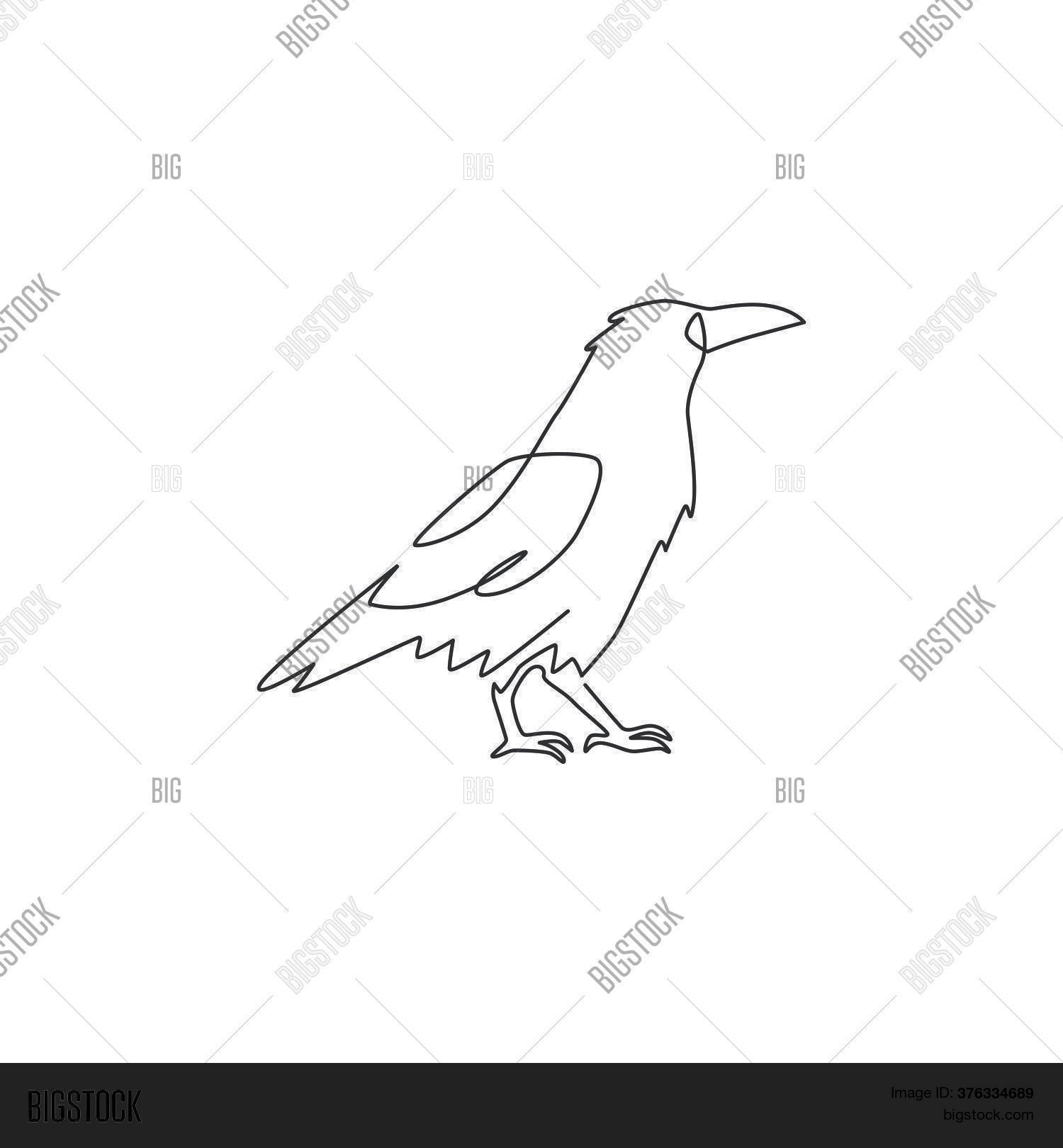 One Single Line Vector & Photo (Free Trial) | Bigstock