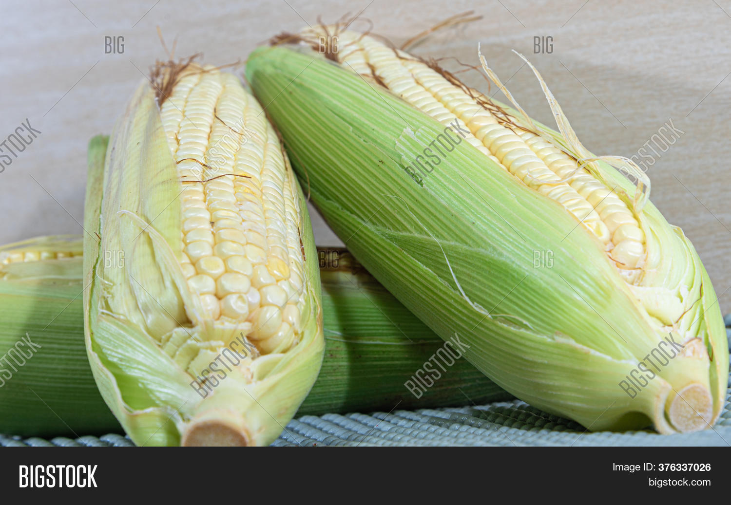 Corn Cobs (zea Mays) Image & Photo (Free Trial) | Bigstock