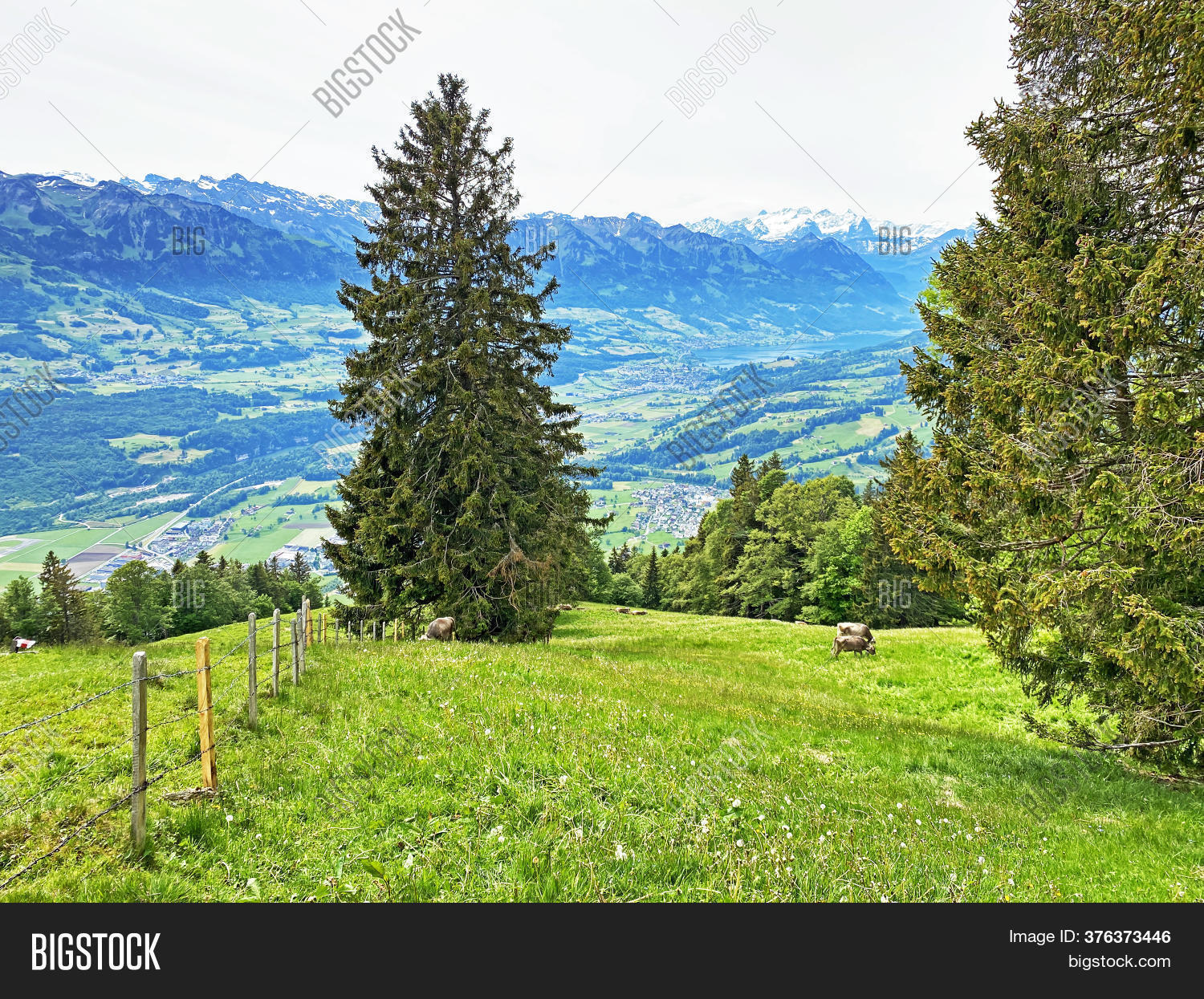 Alpine Pastures Image & Photo (Free Trial) | Bigstock