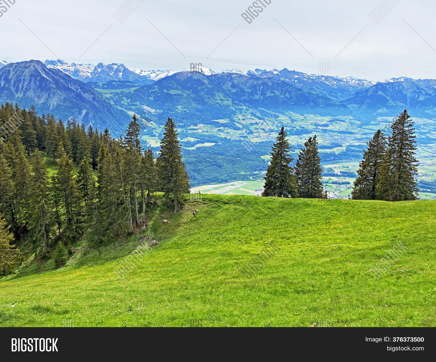 Alpine Pastures Image & Photo (Free Trial) | Bigstock