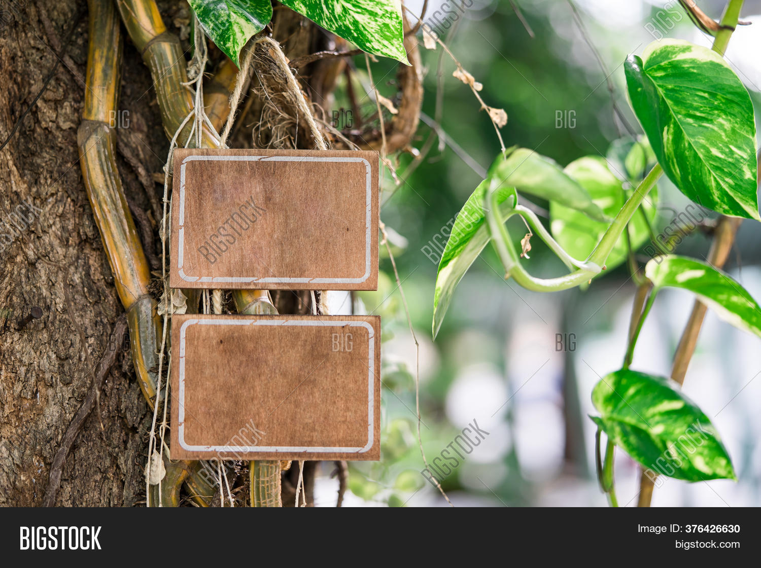 Blank Wooden Sign Image & Photo (Free Trial) | Bigstock