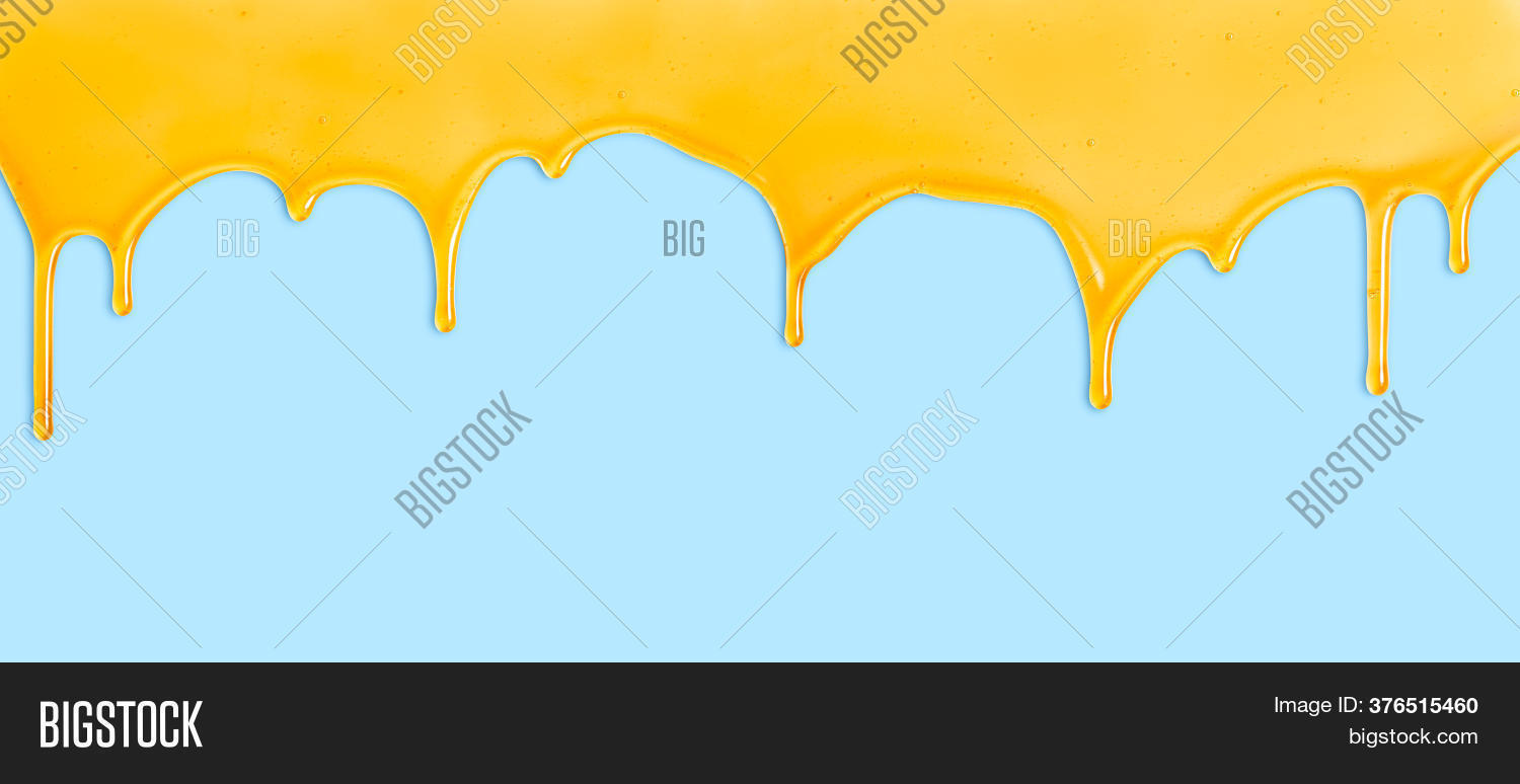 Bee Honey Dripping Image & Photo (Free Trial) | Bigstock