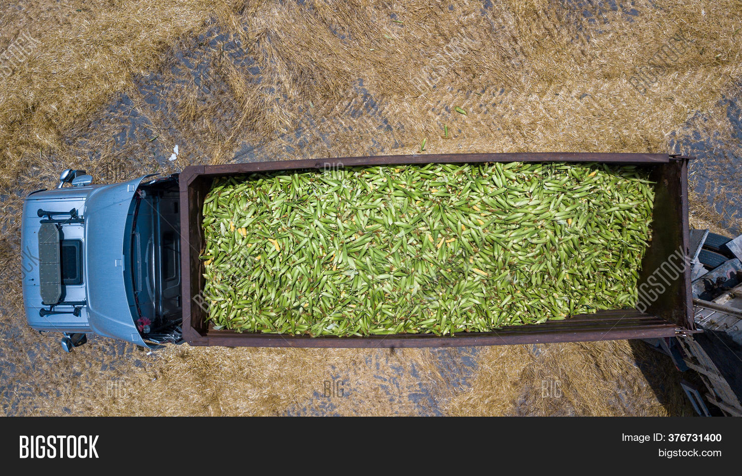 Sweet Corn. Truck Image & Photo (Free Trial) | Bigstock