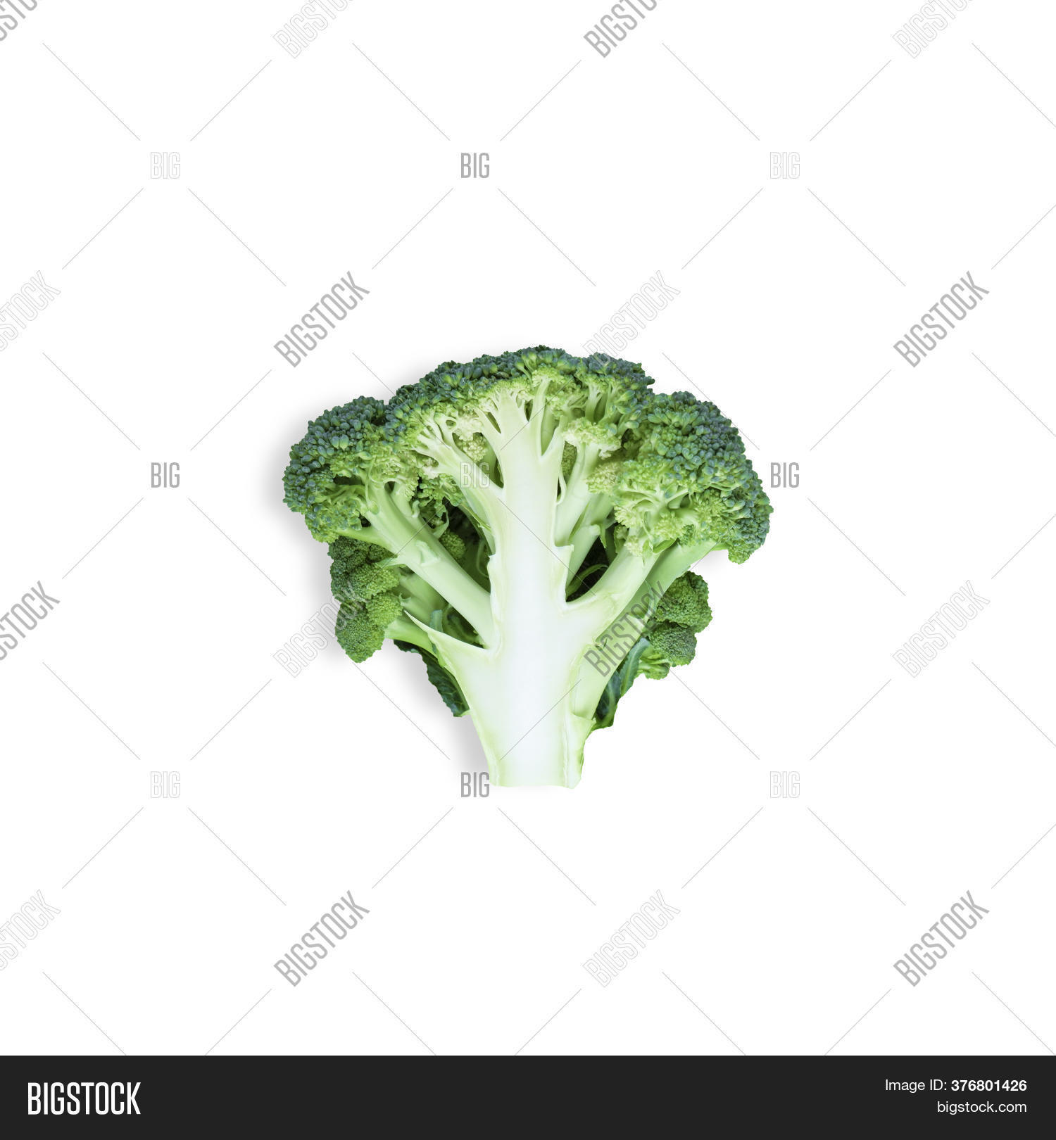 Broccoli Head Cut Half Image & Photo (Free Trial) | Bigstock
