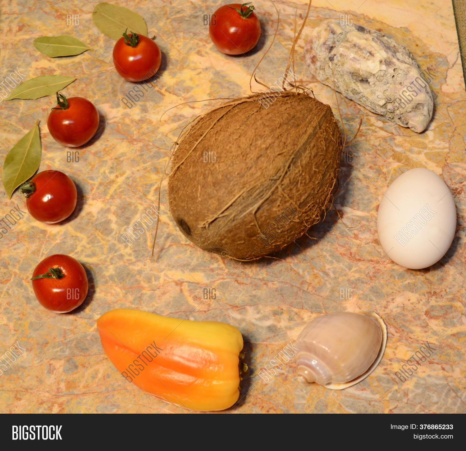 Vegetables, Seashells Image & Photo (Free Trial) | Bigstock