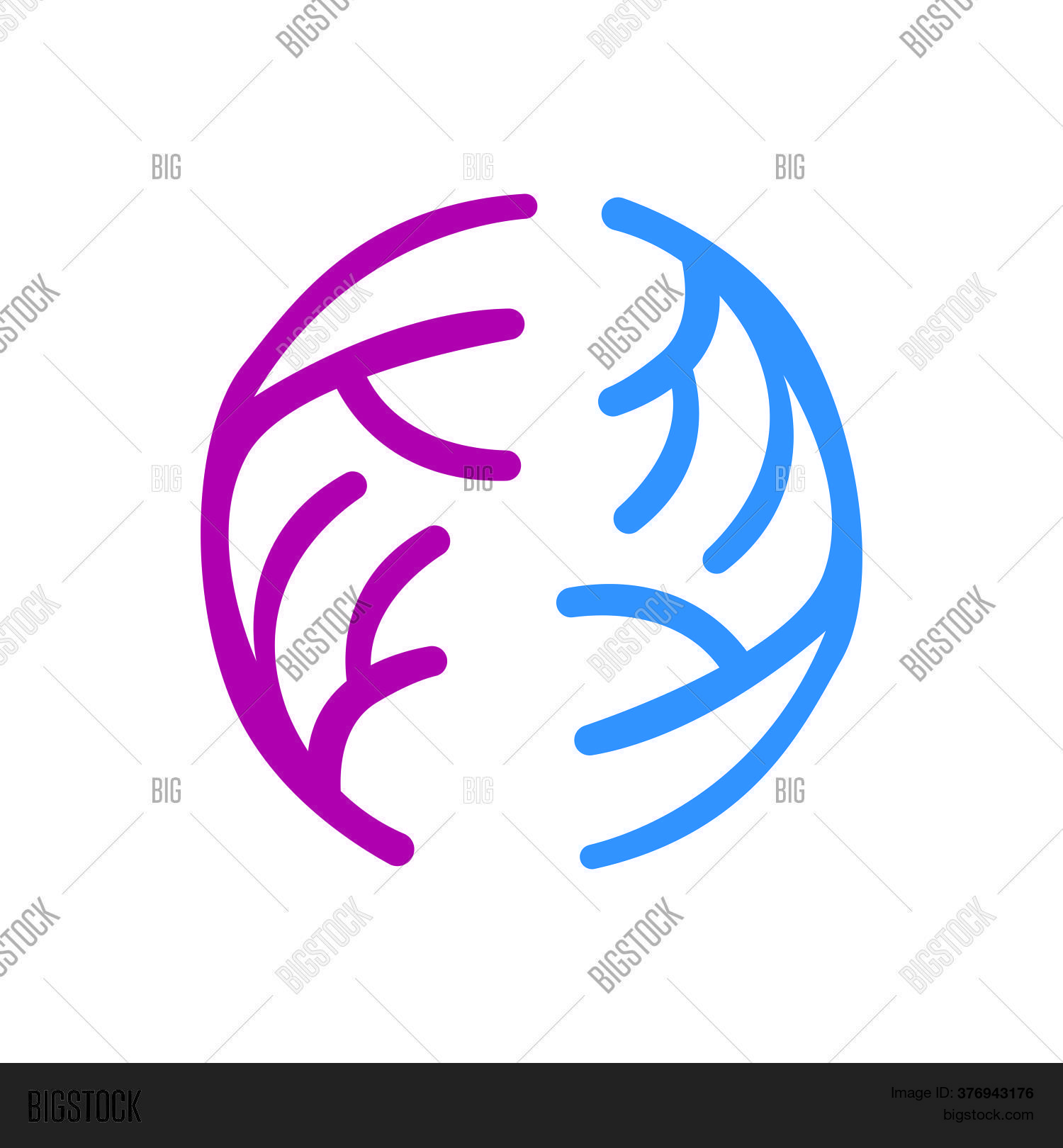 Circle Colorful Reef Vector & Photo (Free Trial) | Bigstock