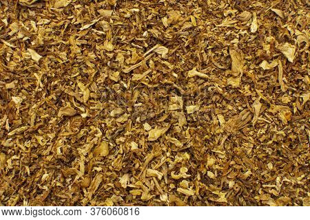 Tobacco Leaf Images, Illustrations & Vectors (Free) - Bigstock