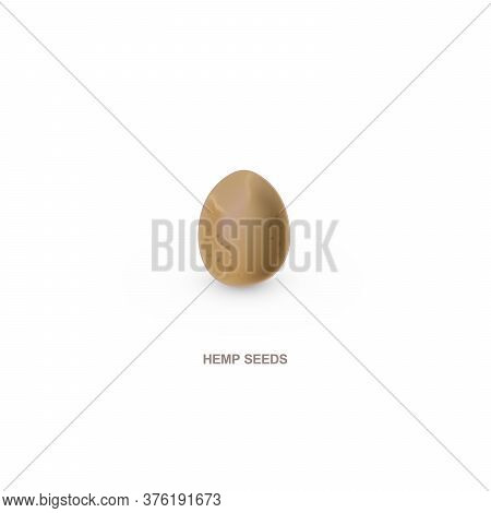 Realistic Hemp Seeds Vector & Photo (Free Trial) | Bigstock