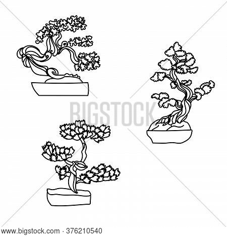 Set Outline Bonsai, Vector & Photo (Free Trial) | Bigstock