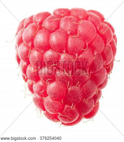 One Ripe Raspberry Image & Photo (Free Trial) | Bigstock