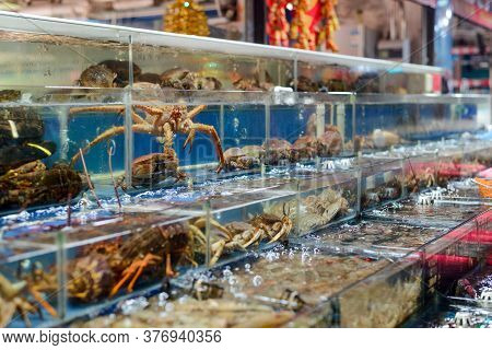 Tanks Fresh Crabs. Image & Photo (Free Trial) | Bigstock