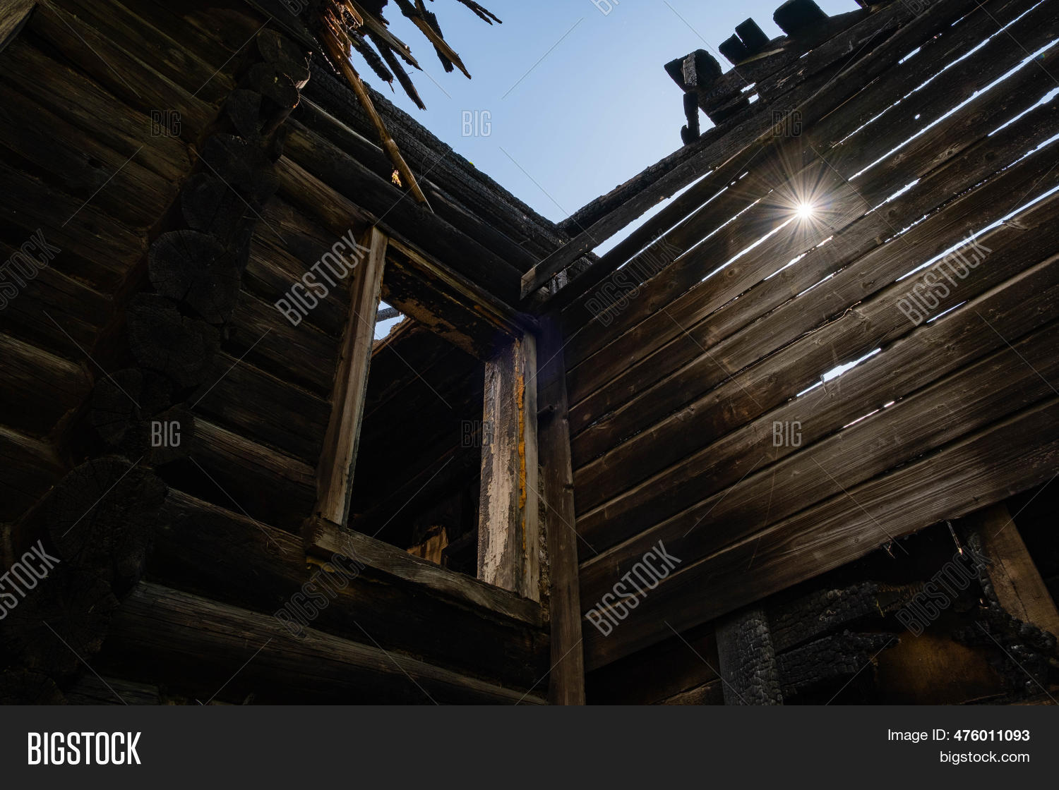 Black Charred Skeleton Image & Photo (Free Trial) | Bigstock