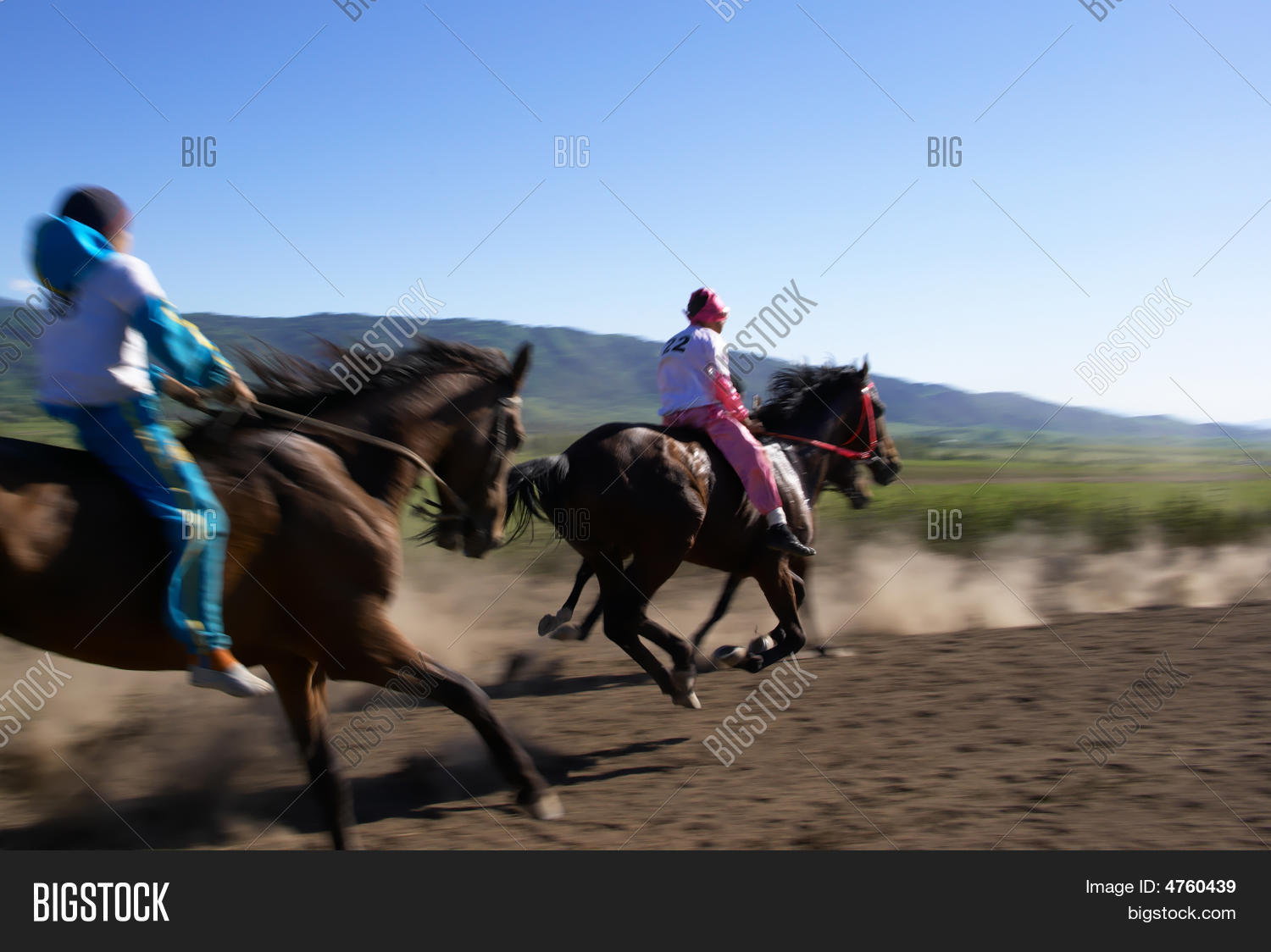 Bayga - Traditional Image & Photo (Free Trial) | Bigstock