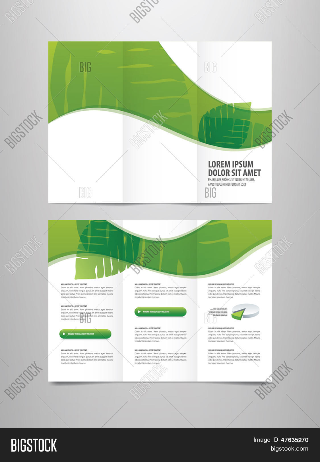 Tri Fold Nature Vector & Photo (Free Trial) | Bigstock