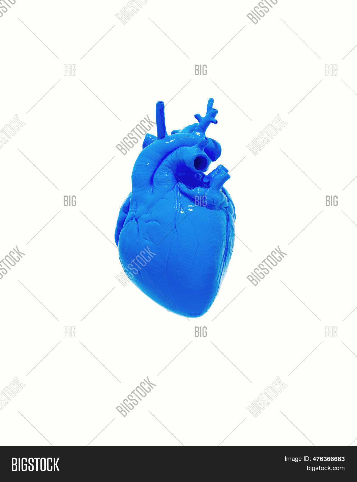 Blue Human Heart Image & Photo (Free Trial) | Bigstock