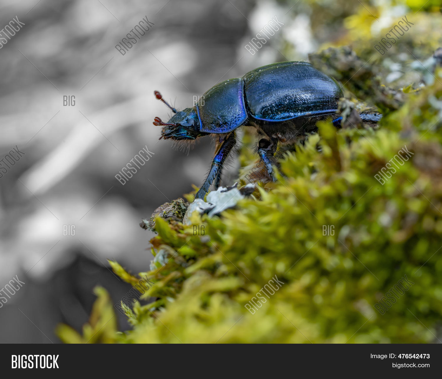 Low Angle Sideways Image & Photo (Free Trial) | Bigstock