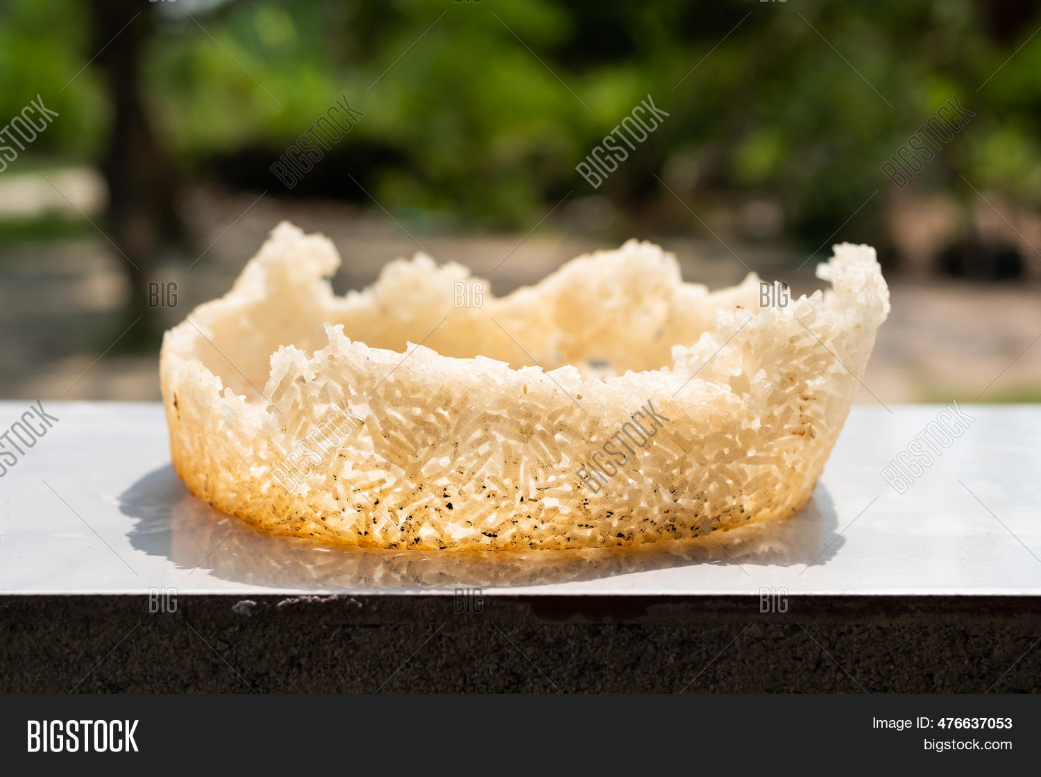 Rice Crust Dried Sun Image & Photo (Free Trial) | Bigstock