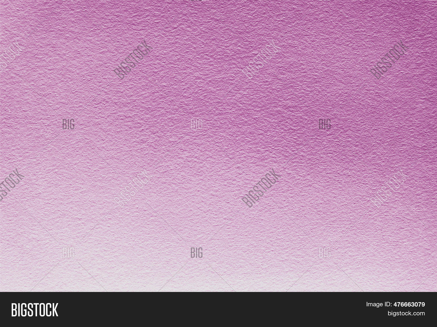 Soft Warm Lilac Image & Photo (Free Trial) | Bigstock