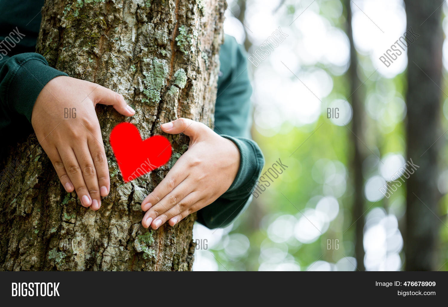 Hands Hugging Trees On Image & Photo (Free Trial) | Bigstock
