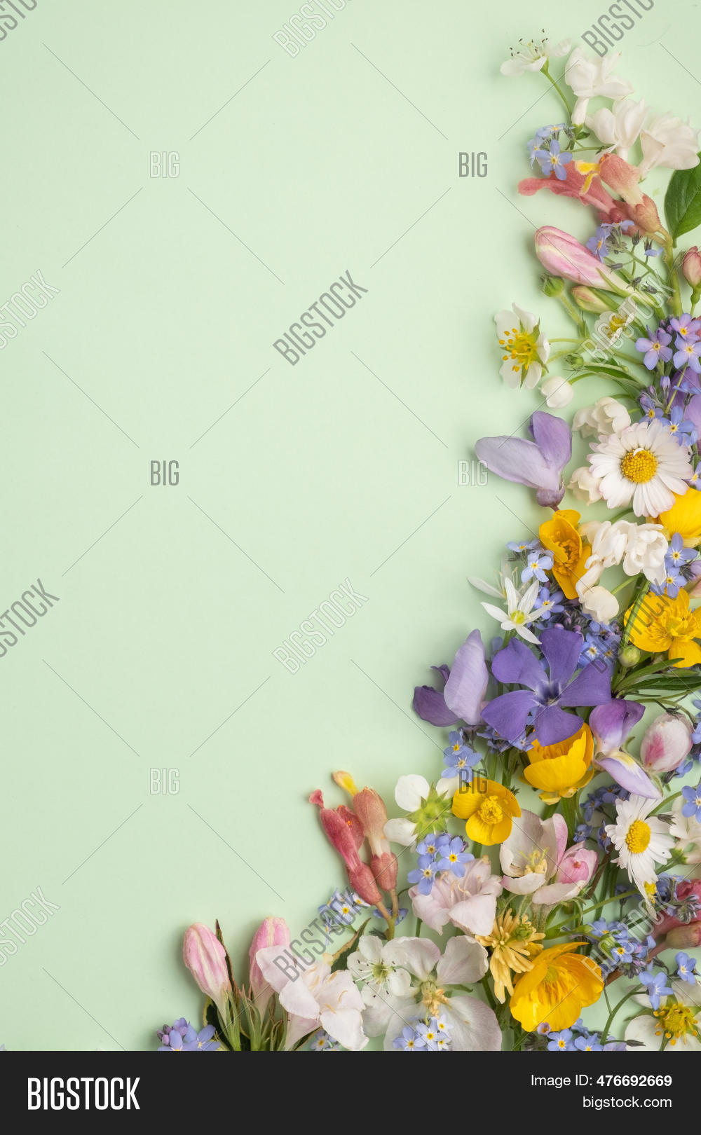 Flora Corner Flat Lay Image & Photo (Free Trial) | Bigstock