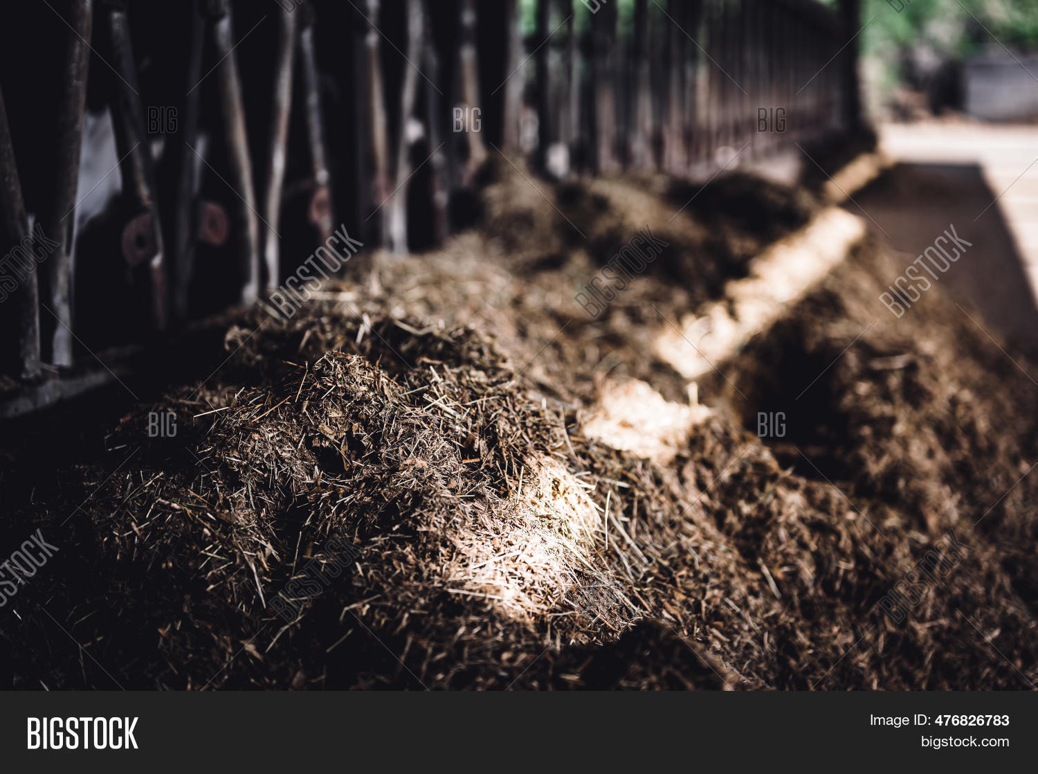 Row Silage Dairy Barn Image & Photo (Free Trial) | Bigstock
