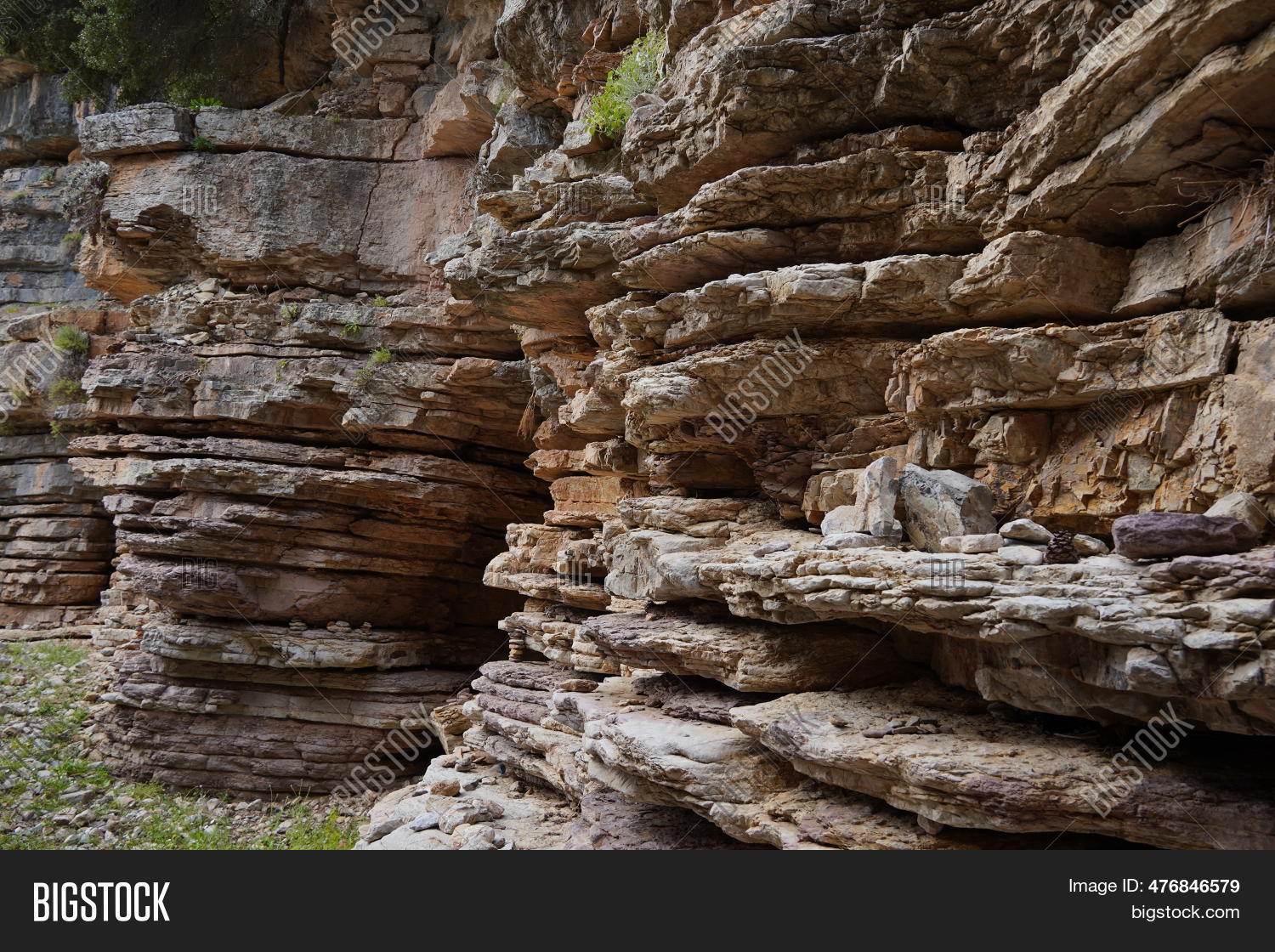 Flint Inside Limestone Image & Photo (Free Trial) | Bigstock