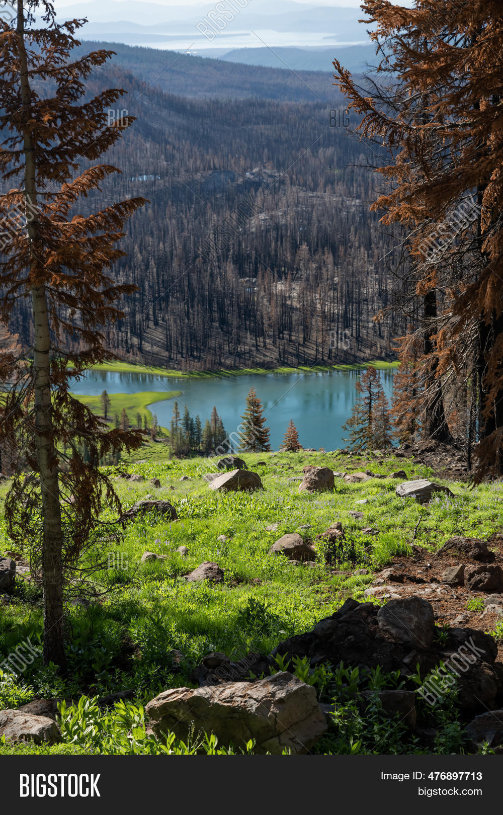 Damage Dixie Fire Image & Photo (Free Trial) | Bigstock