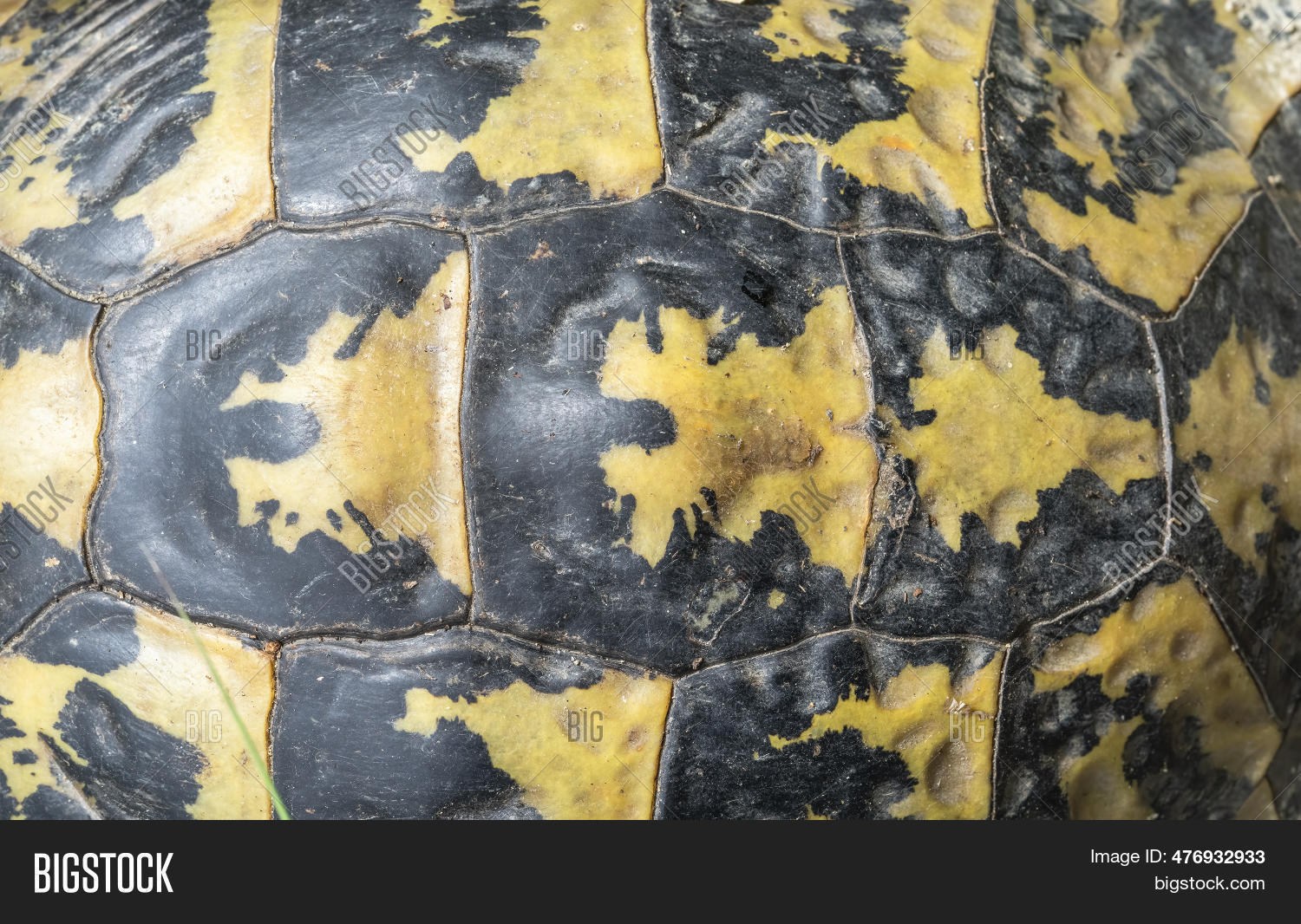 Close Texture Image & Photo (Free Trial) | Bigstock