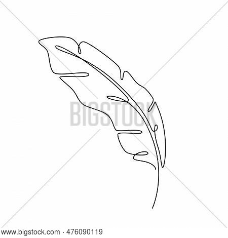 Feather Line Art. Vector & Photo (Free Trial) | Bigstock