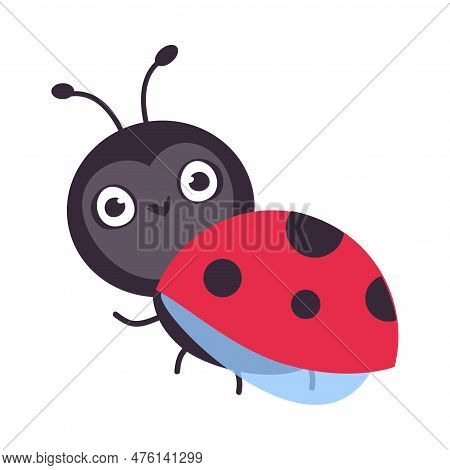 Cute Little Ladybug Vector & Photo (Free Trial) | Bigstock