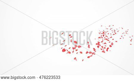 Red Rose Petals Fly Image & Photo (Free Trial) | Bigstock