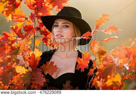 Autumn Fall. 图片和照片（免费试用） | Bigstock