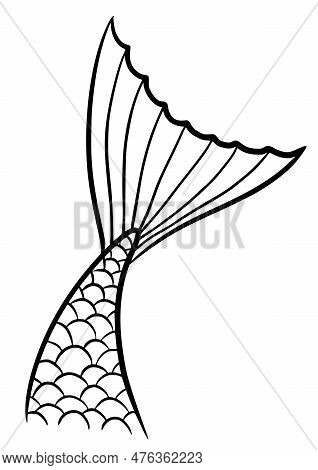 Mermaid Tail Cute Vector & Photo (Free Trial) | Bigstock