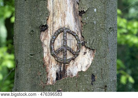 Peace Sign Flowers Images, Illustrations & Vectors (Free) - Bigstock