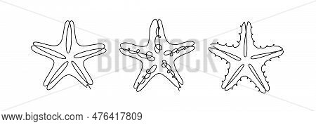 Starfish Line Art Set Vector & Photo (Free Trial) | Bigstock