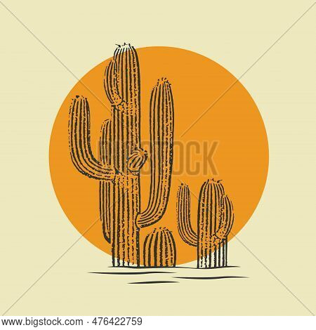Cactus Illustration Vector & Photo (Free Trial) | Bigstock