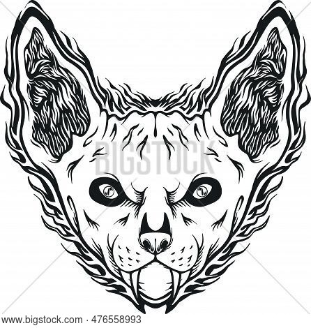 Egyptian Head Sphinx Vector & Photo (Free Trial) | Bigstock