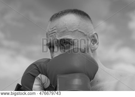 Boxer Fight. Fist Image & Photo (Free Trial) | Bigstock