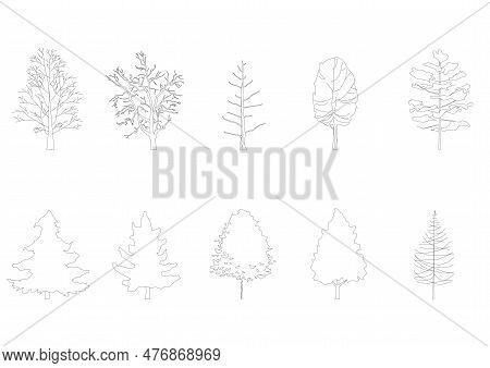 Tree Line Drawing, Vector & Photo (Free Trial) | Bigstock