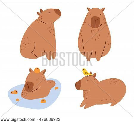 Vector Set Funny Vector & Photo (Free Trial) | Bigstock