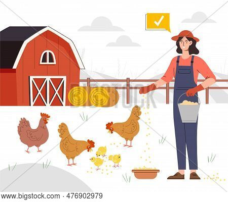 Chicken Farm Concept Vector & Photo (Free Trial) | Bigstock