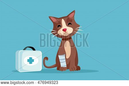 Injured Cat Broken Vector & Photo (Free Trial) | Bigstock