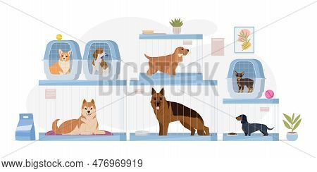 Inside Pet Shop Cartoon