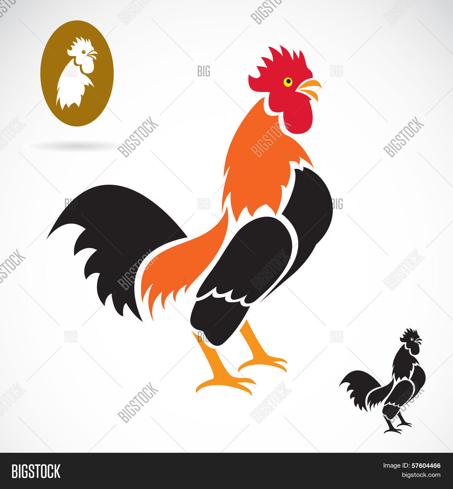Vector Image Rooster Vector & Photo (Free Trial) | Bigstock