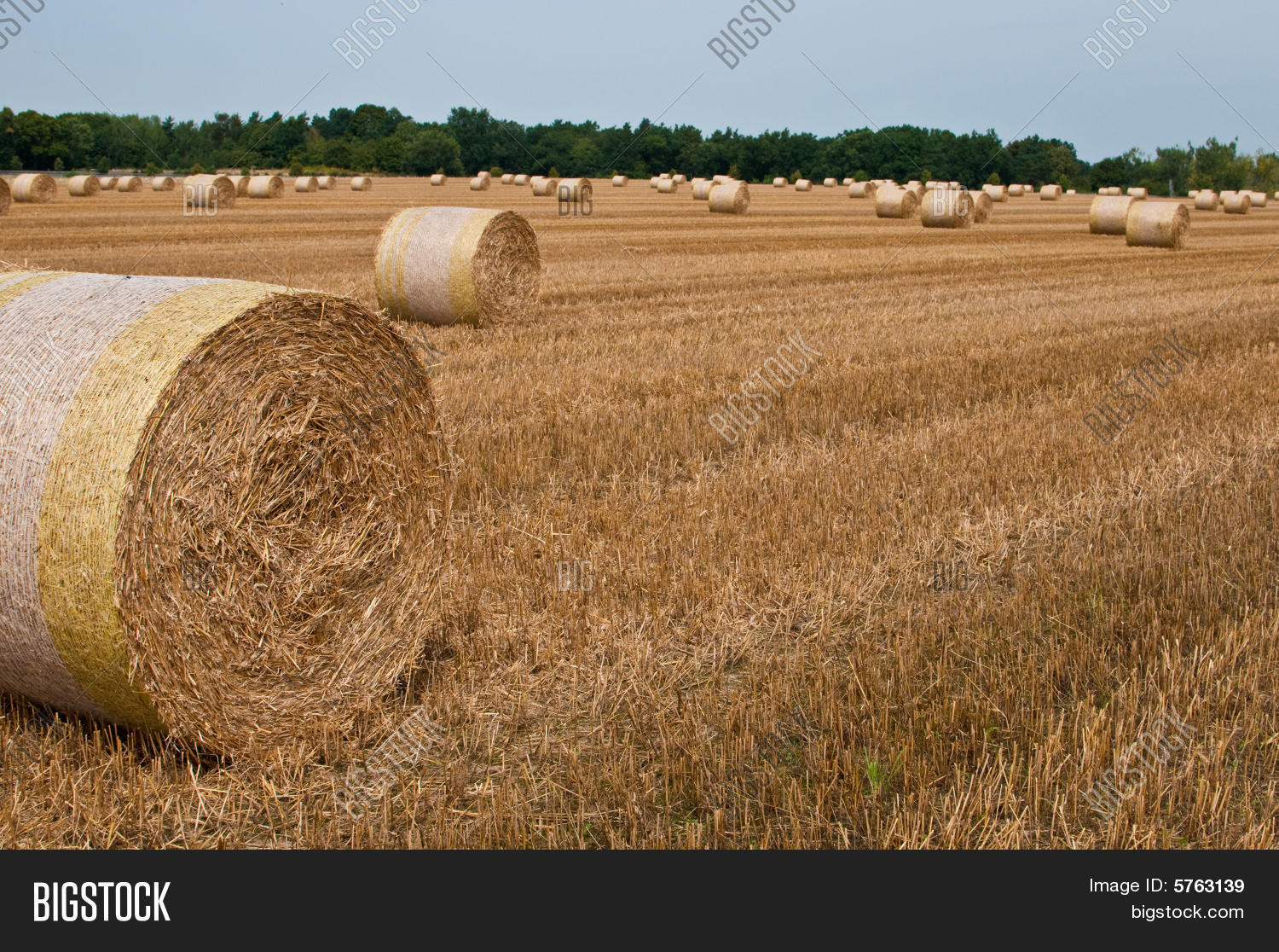Stubble Field Image & Photo (Free Trial) | Bigstock