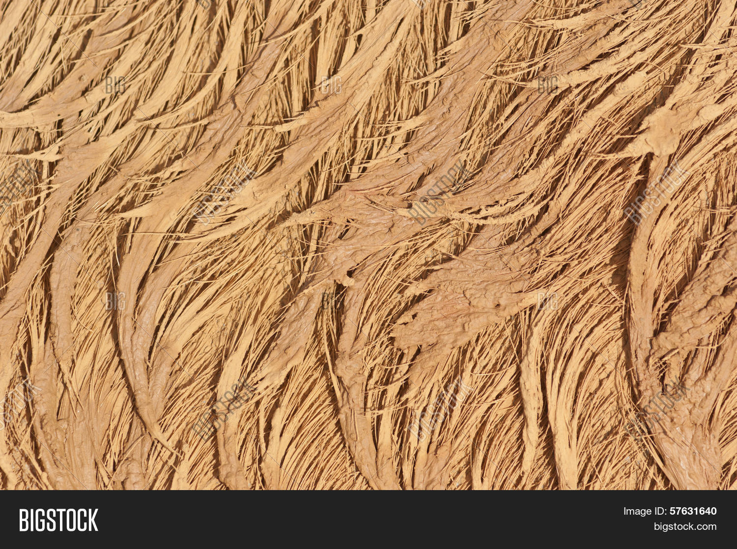 Pig Skin Texture Image & Photo (Free Trial) | Bigstock